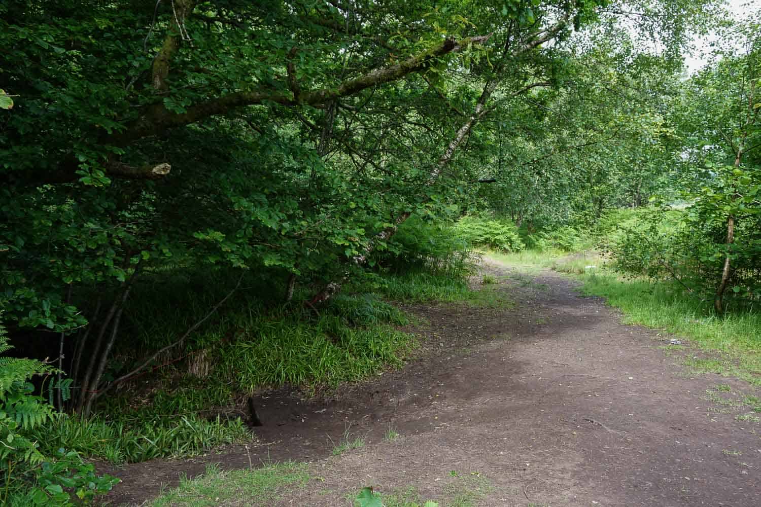 Finding Finnich Glen + The Devil's Pulpit in Scotland - Adventures ...