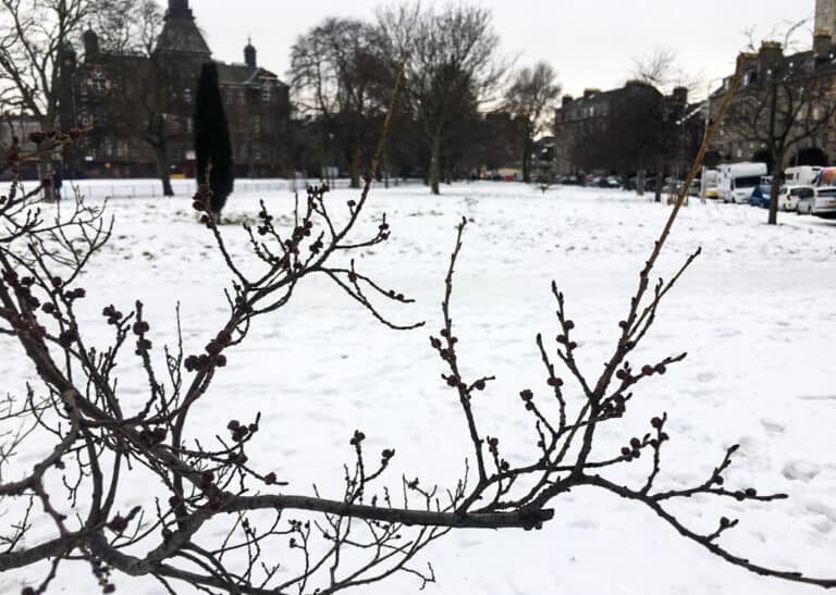 Edinburgh in Winter: Things to Do + Reasons to Visit - Adventures ...