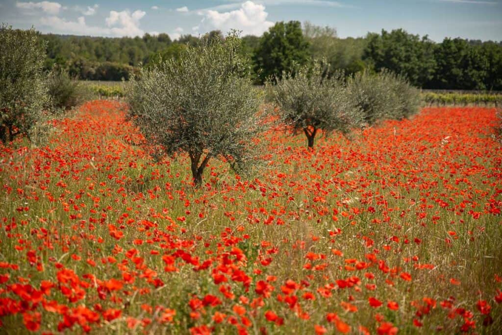 27 Best Places to Visit in Europe in Spring - Adventures Around Skye